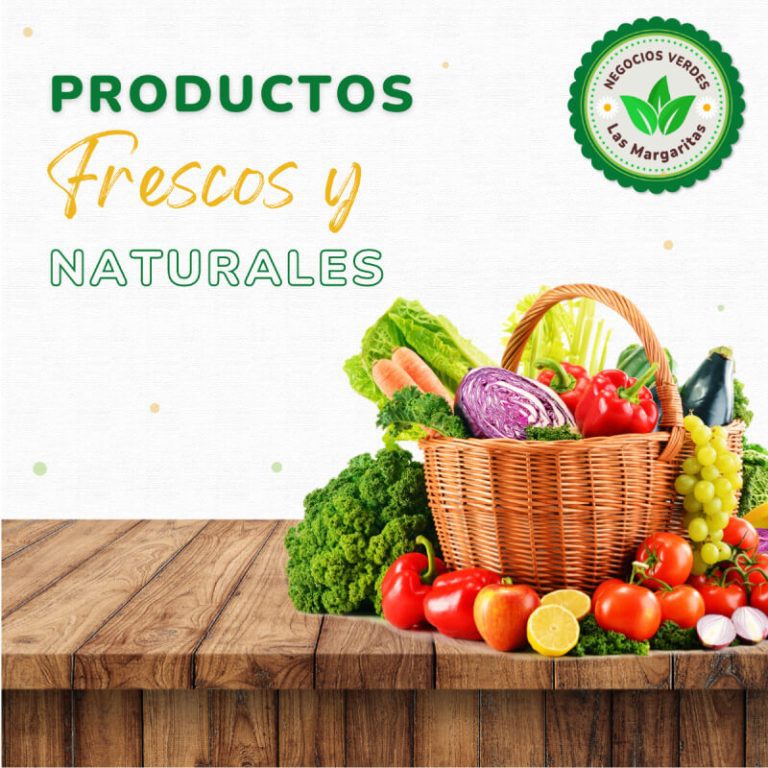 Conoce el catálogo de productos